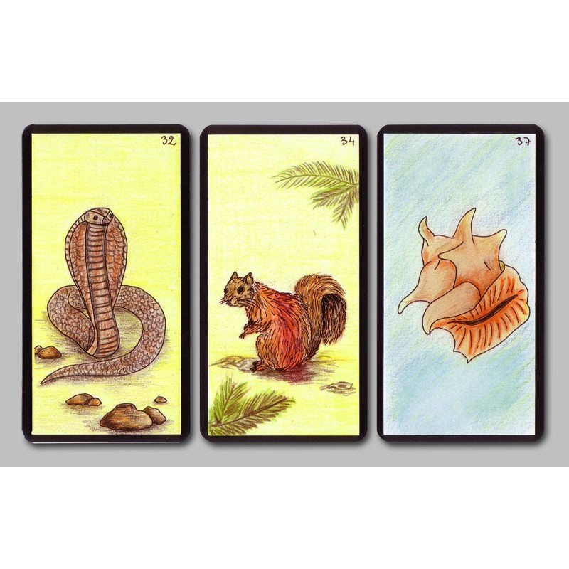 Acheter Oracle Gé - Cartes et Tarots Divinatoires - Boutique Variantes ...