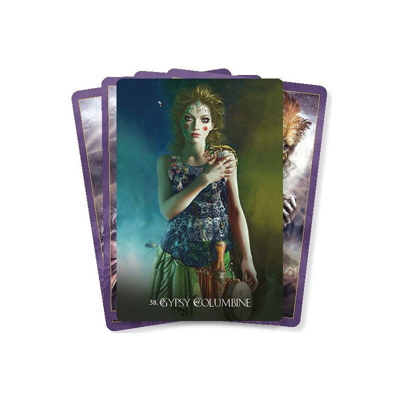 Acheter Oracle Divine Circus d'Alana Fairchild - Boutique de tarots et ...