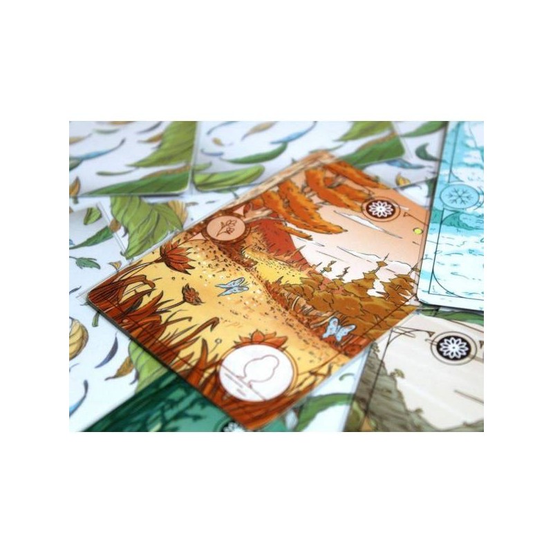 Acheter Evergreen - Jeu de Société - Boutique Variantes Paris - Gigamic