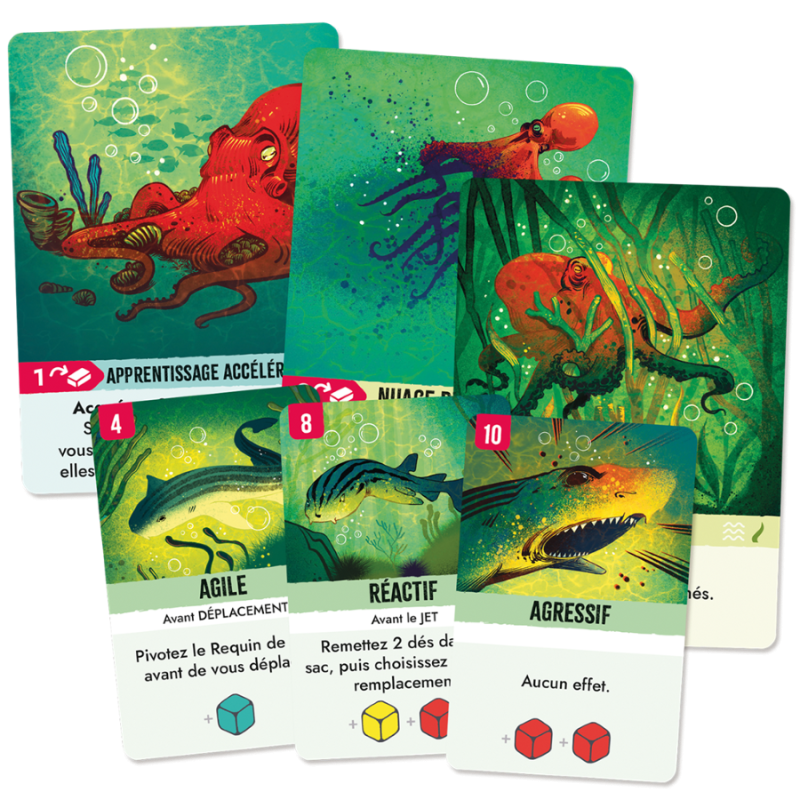 Kelp - Jeu de Société Boutique Variantes Paris - Wonderbow - Asmodée Expert